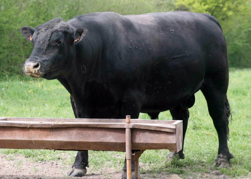 Blog - Ferme du Val Primbert